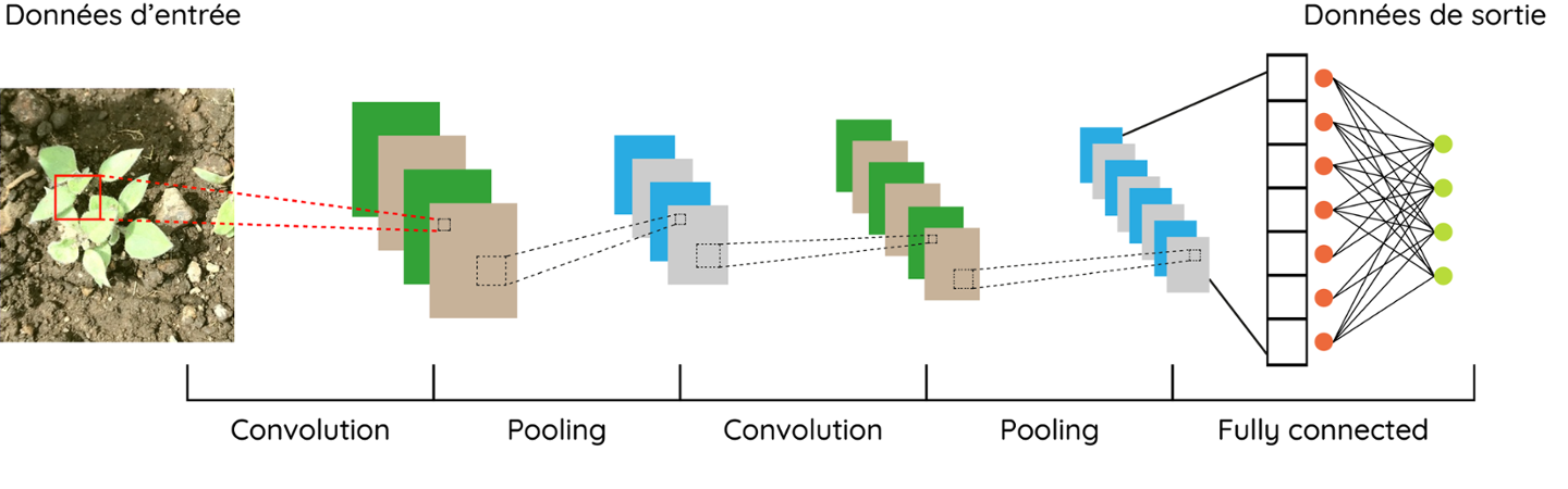 La différence entre IA, Deep Learning, Machine Learning en agriculture