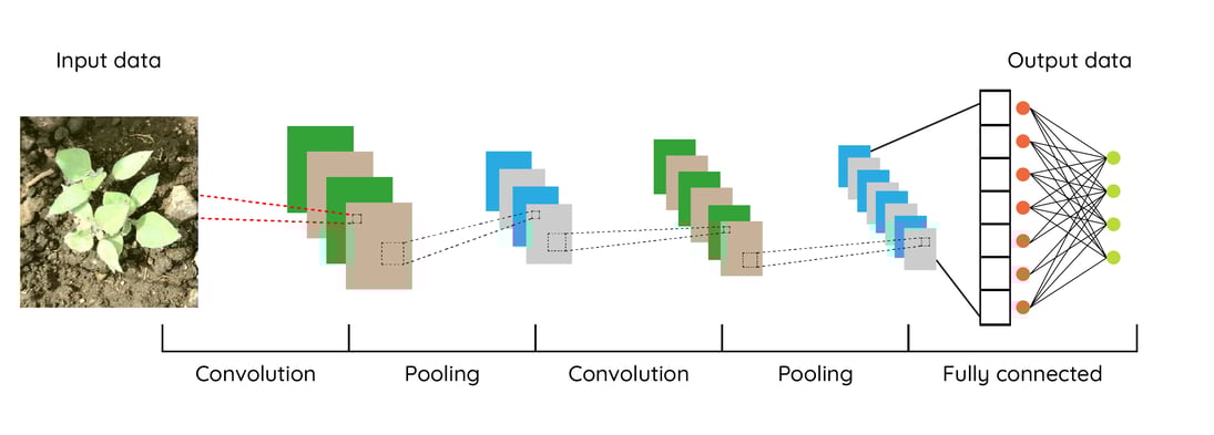 The difference between AI, Deep Learning, Machine Learning in agriculture
